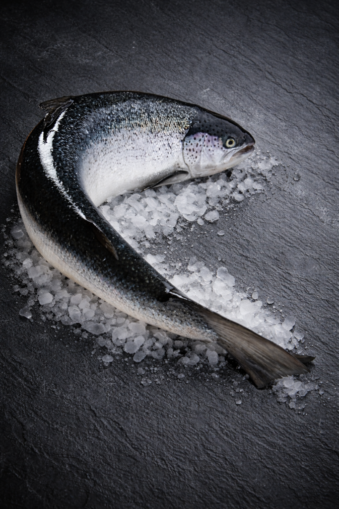 Saumon de France entier, 1,2 kg